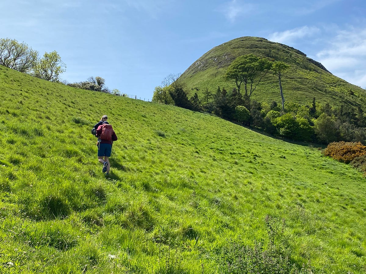 Balancing Explore v Exploit Data Trade-offs | by Philip Martin | Medium