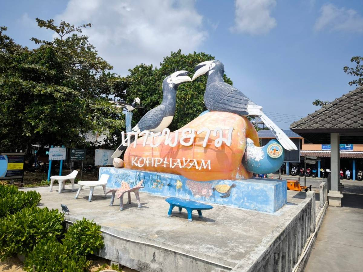 นกเหงือกบนเกาะพยาม - Sunate kob - Medium