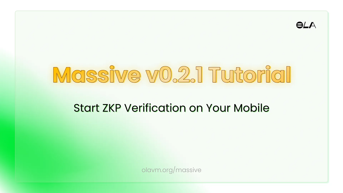 Учебник по Massive v0.2.1. Запустите верификацию ZKP на своем… | by Katrichukoleg | Jun, 2024 ...