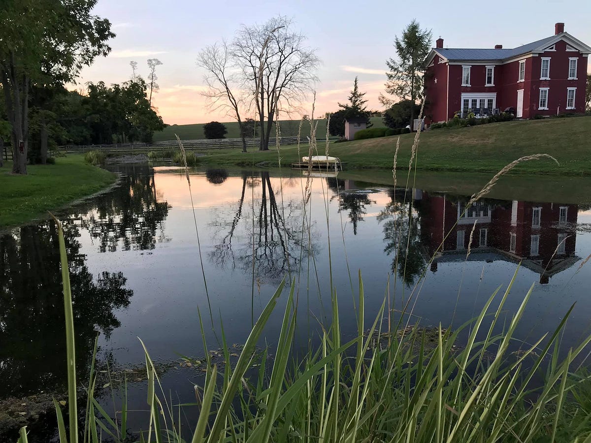 Spring Pond Care Pro Tips for Large Pond Owners | by Jon Klotz | Medium