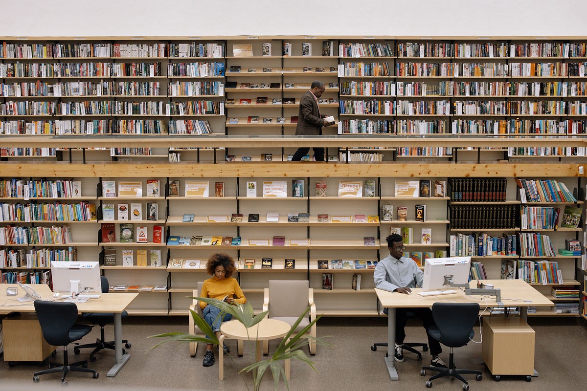 Undertaking Inclusive Employment at a Public Library | by lisa dempster ...