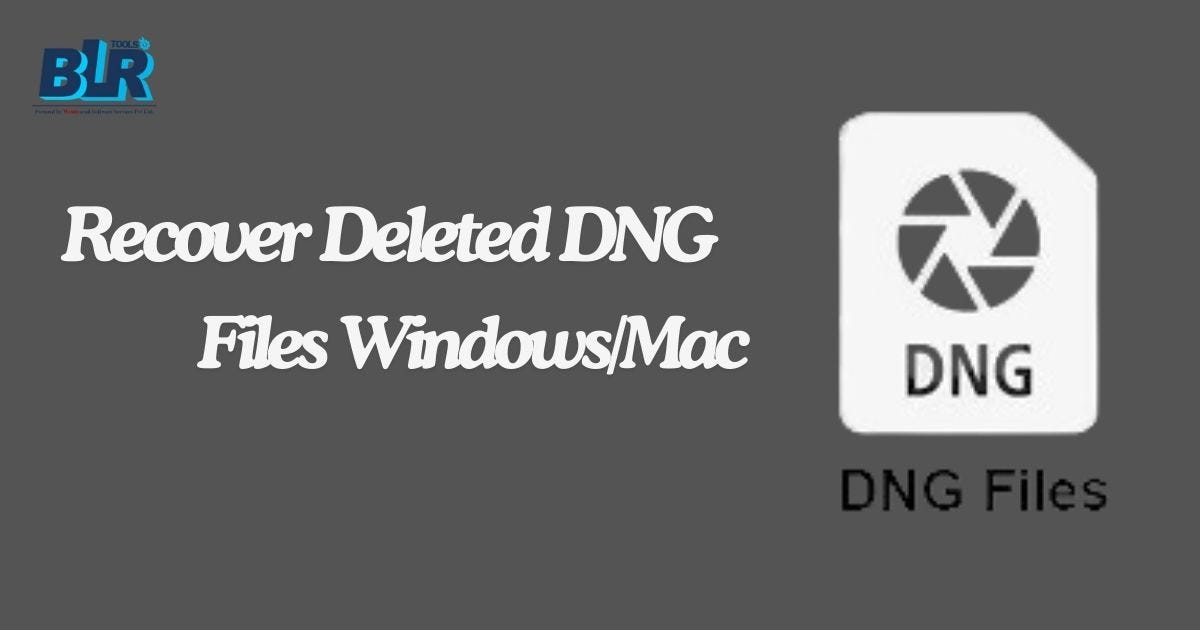 Recover Deleted DNG Files Windows/Mac [Full Guide] | by Alina | Aug ...