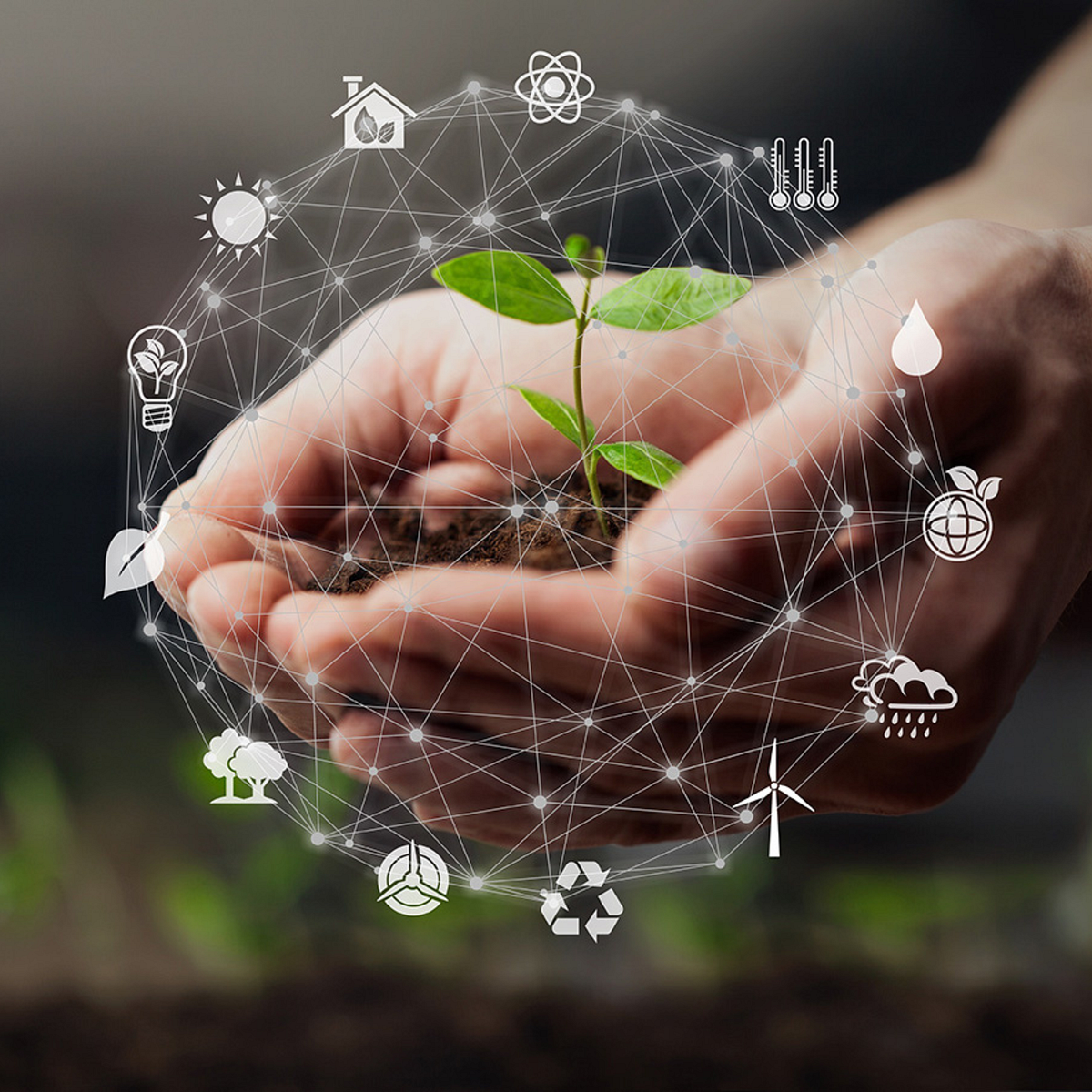 Beyond Donations: How NETZERO is Pioneering a Holistic Approach to ...