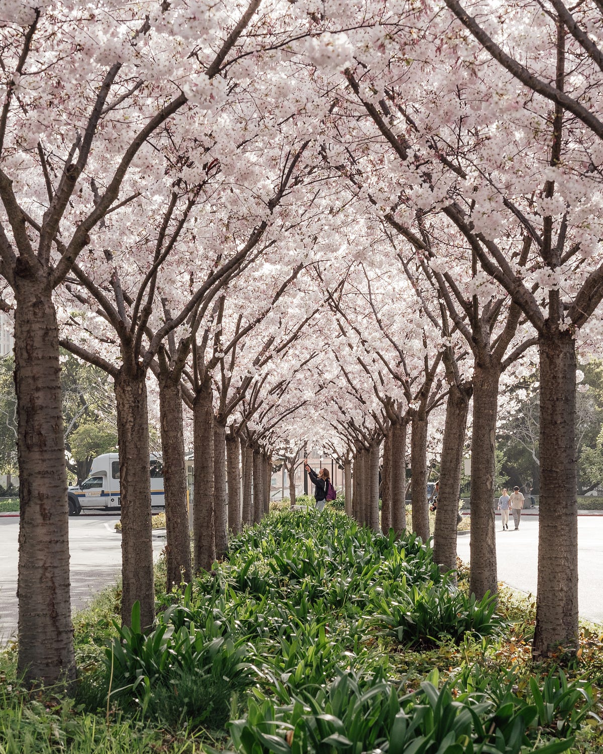 From Behind the Lens: My UC Berkeley Story in Photographs | by UC ...