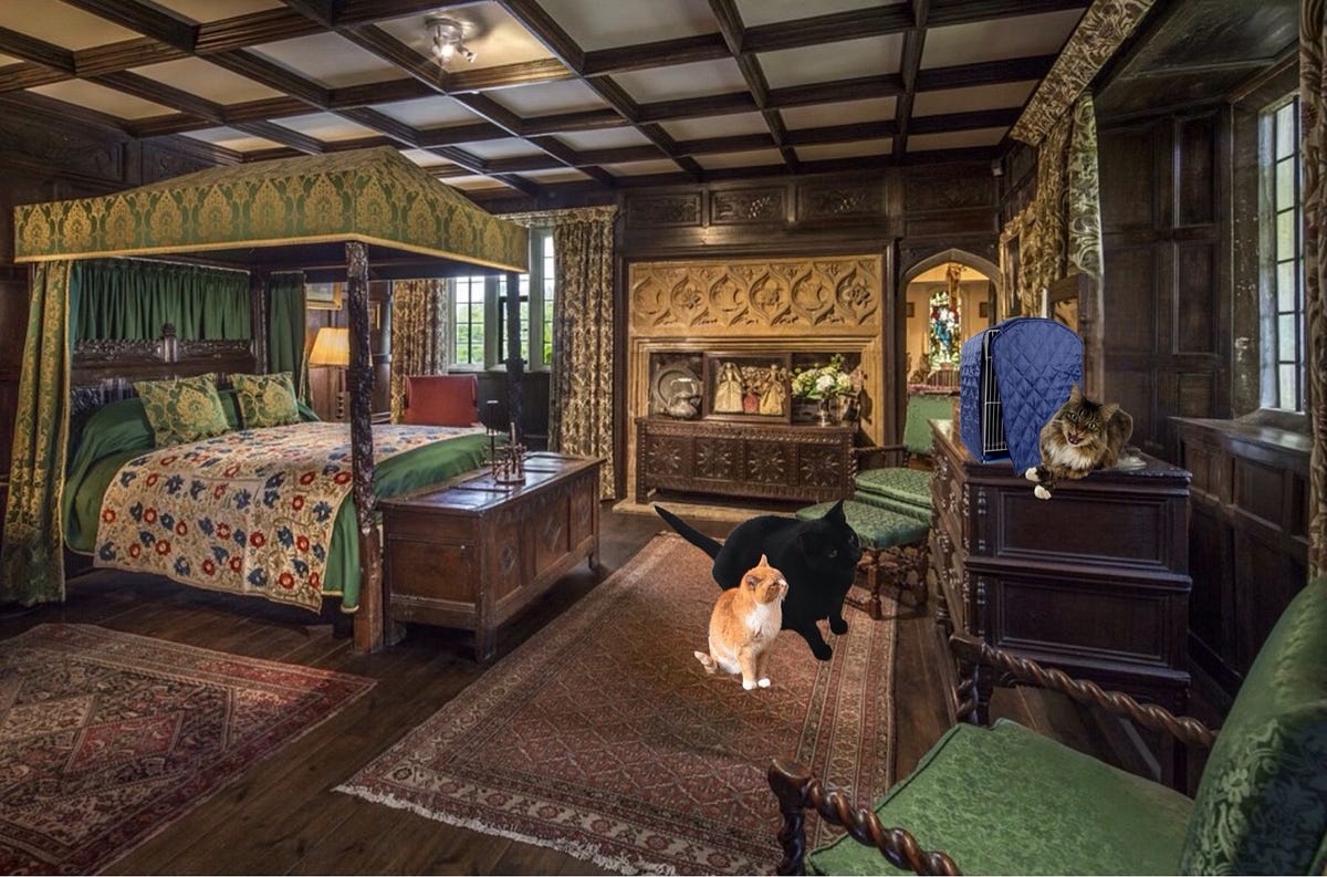 Mischief At The Nipperage : Chapter 8 | by The Joy Of Cats Blog | Feb ...