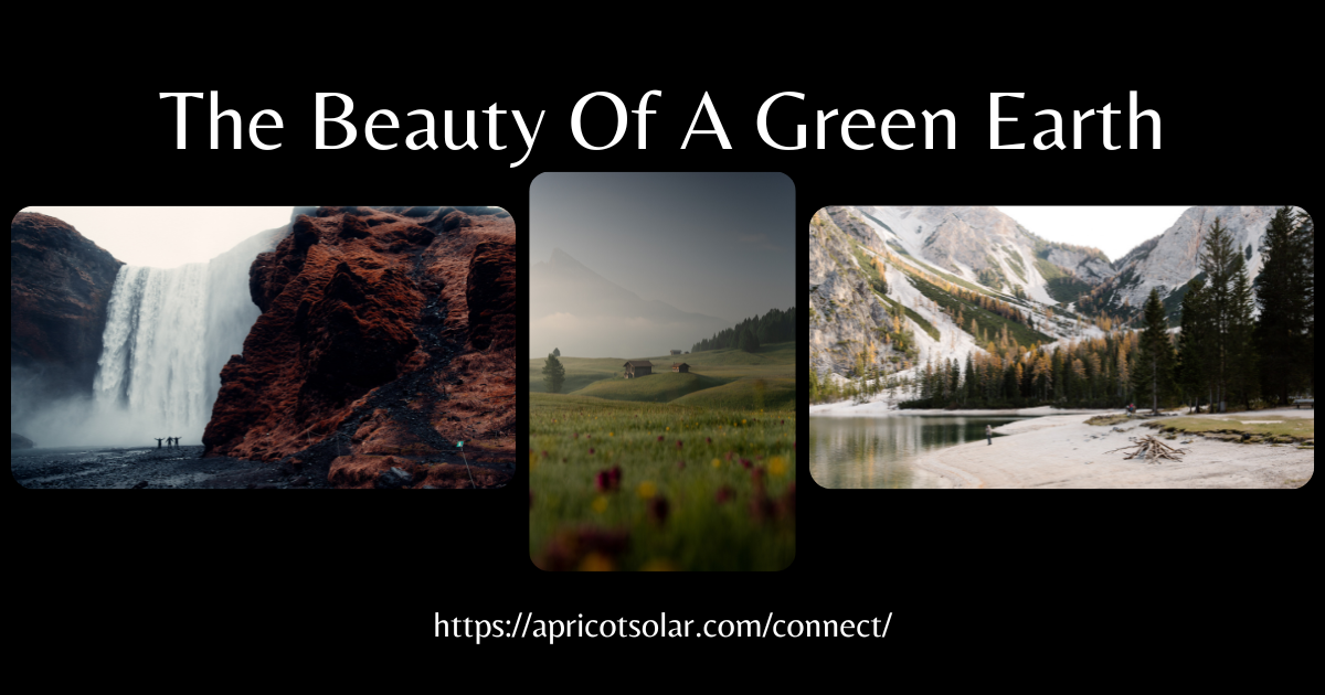 The Beauty of a Green Earth: Nurturing Nature’s Masterpiece 🌿 | by The ...