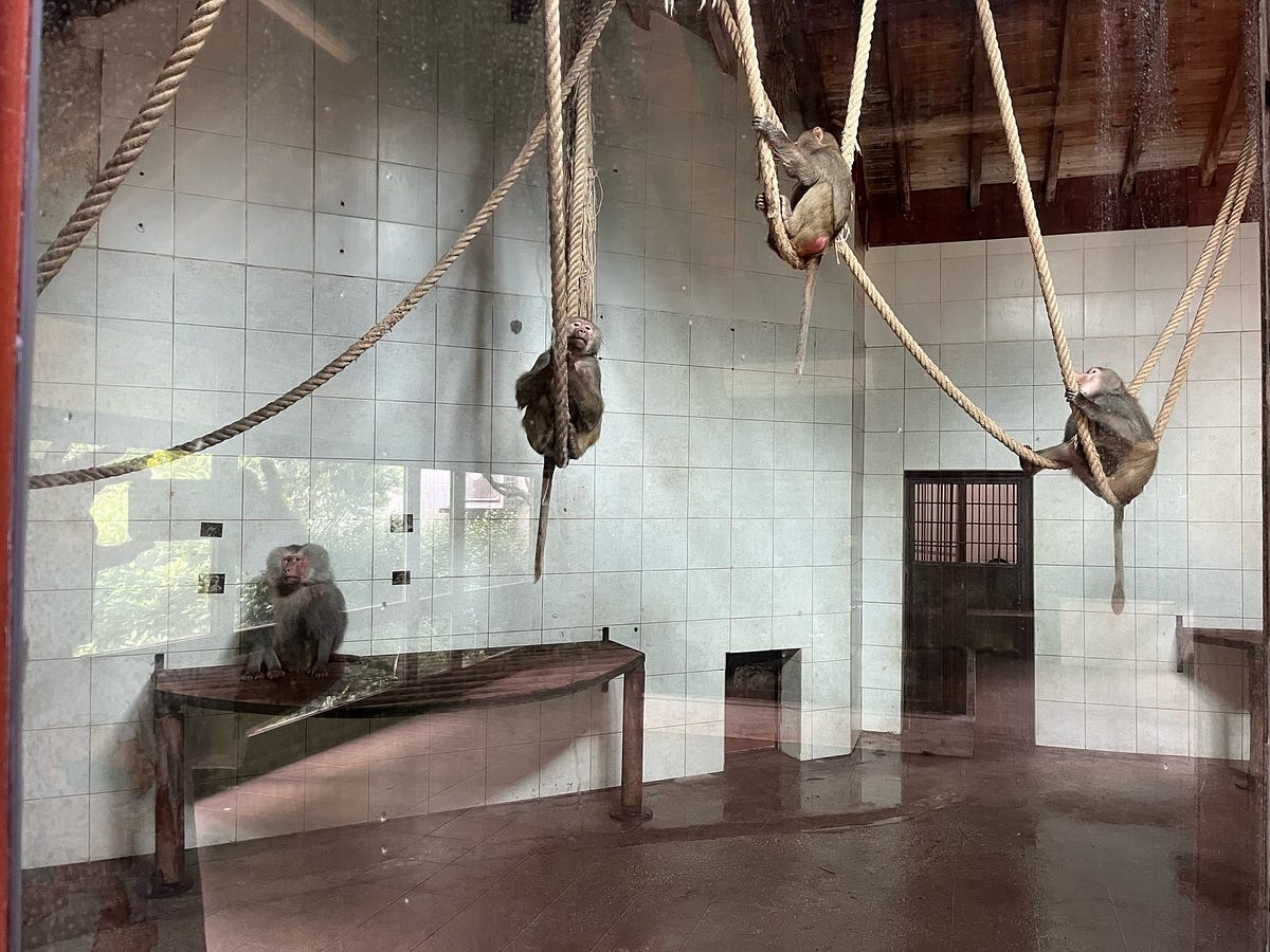 Yaz Geliyor… | by atölye | Medium