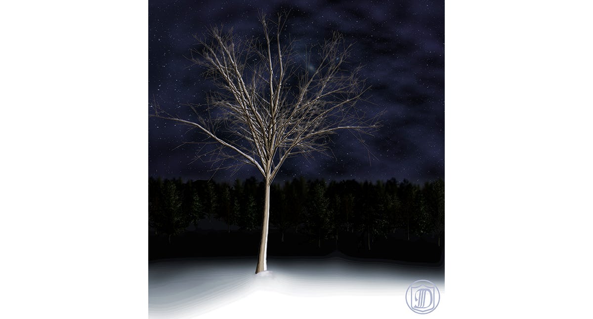 Desolate, Frozen “Winter”. A poetic rant about the looming cold of ...