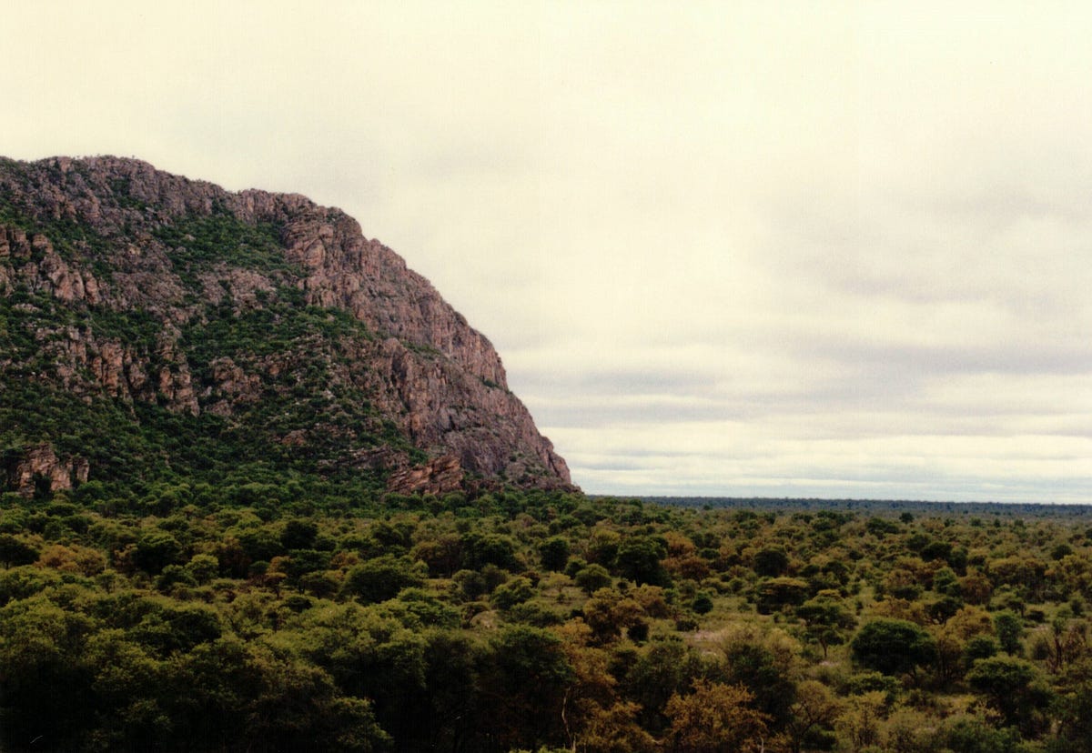 Lance and the Kalahari. Looking for rock paintings the hard way | by ...