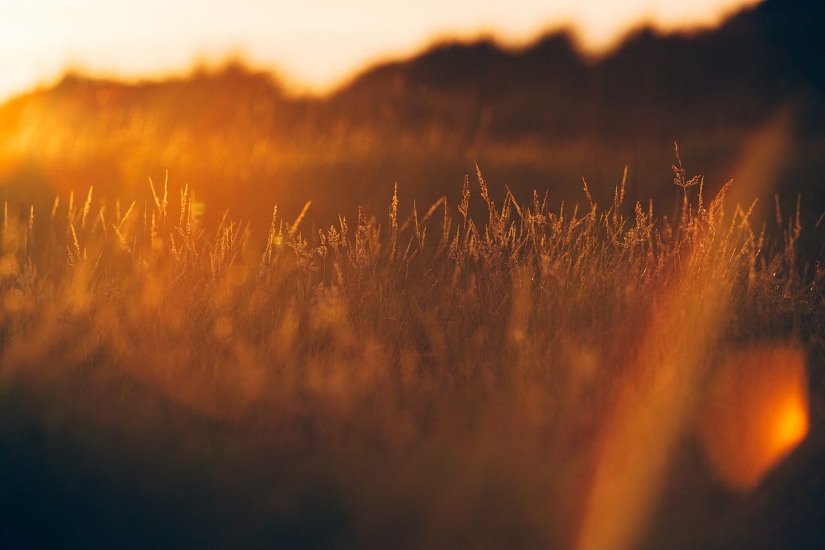 Feeling Off Today? This One Is For You. | by Camile Minerbo | Medium