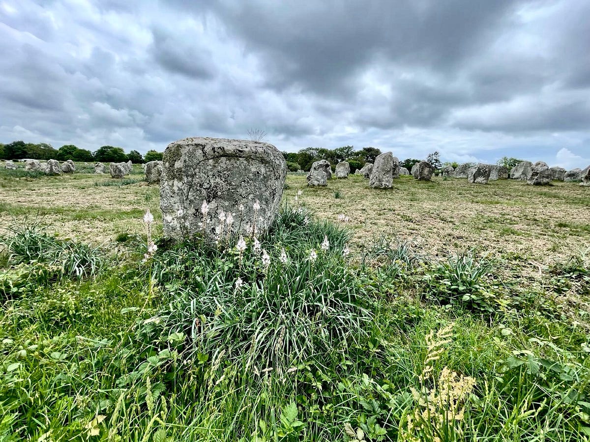 The Carnac Alignments: Neolithic Genius, or Serious, Stone-Age OCD ...