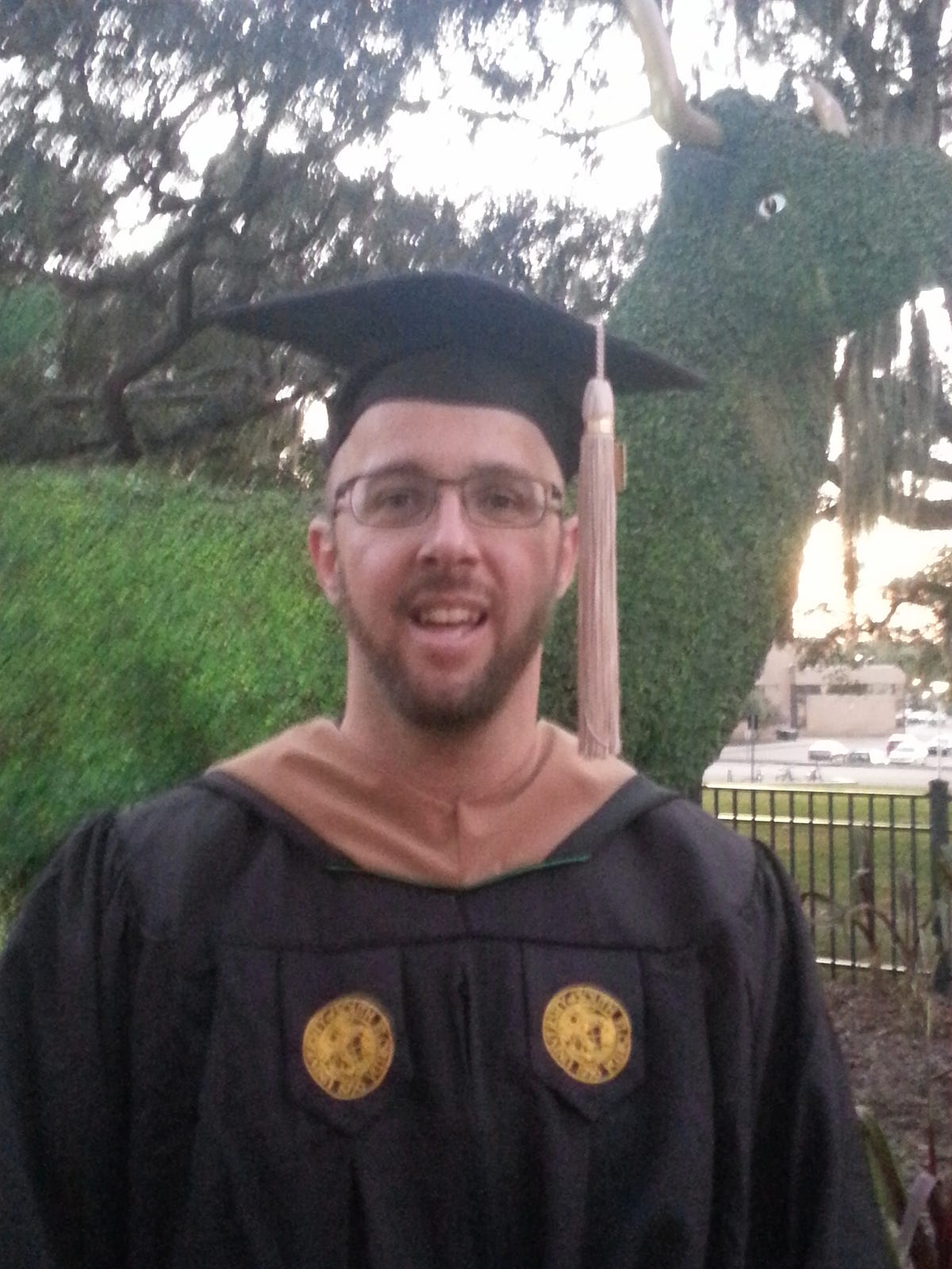 Grabbing the Bull by the Business — Review of the USF MBA Program | by ...