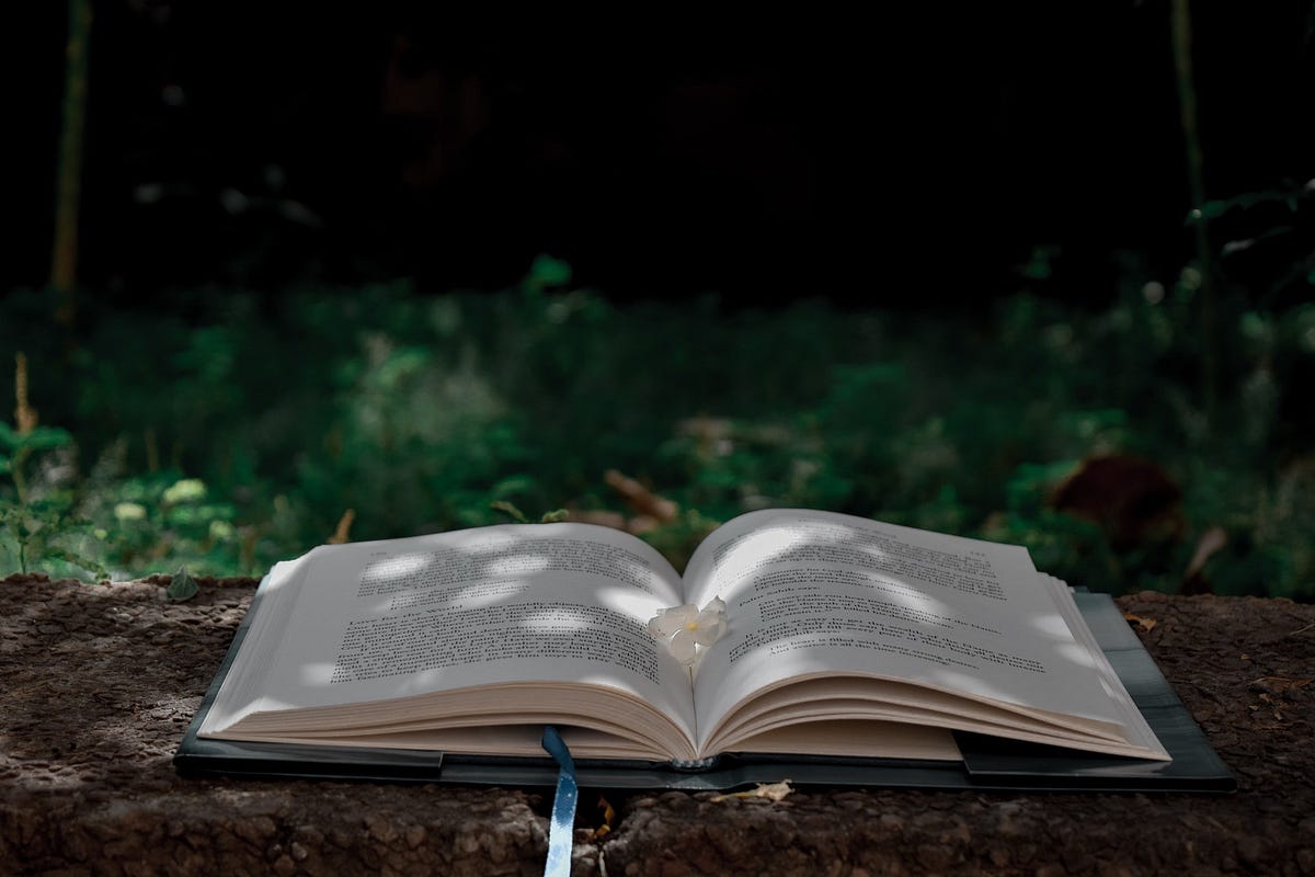 Intro To Coreference Resolution In Nlp By Paweł Mielniczuk Towards Data Science