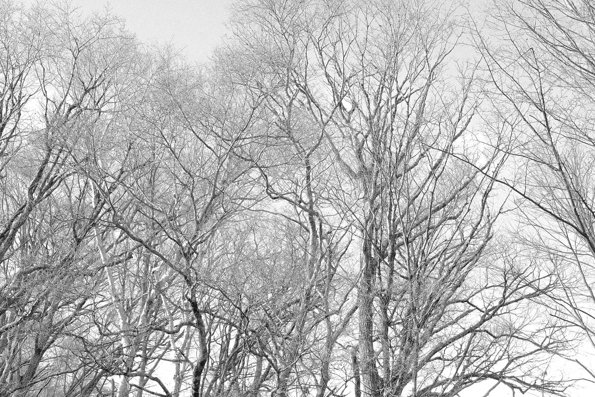 Infinite branching - Asian Outlook - Medium