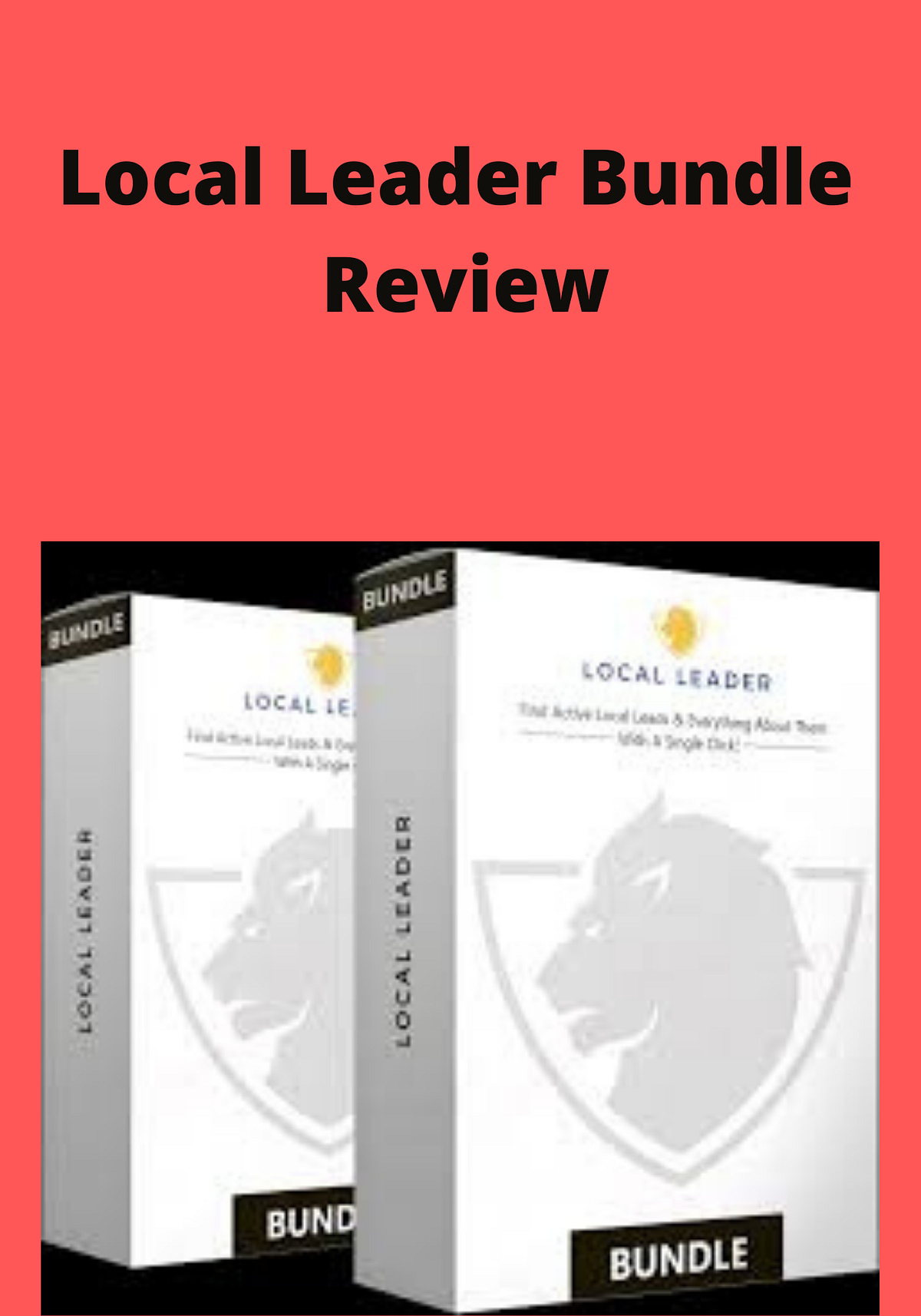 Local Leader Bundle Review. Dis…..contain article Affiliate Link | by ...