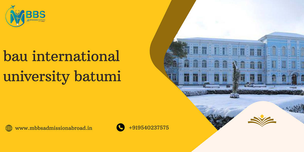 Getting to Know BAU International University: A Complete Overview | by ...
