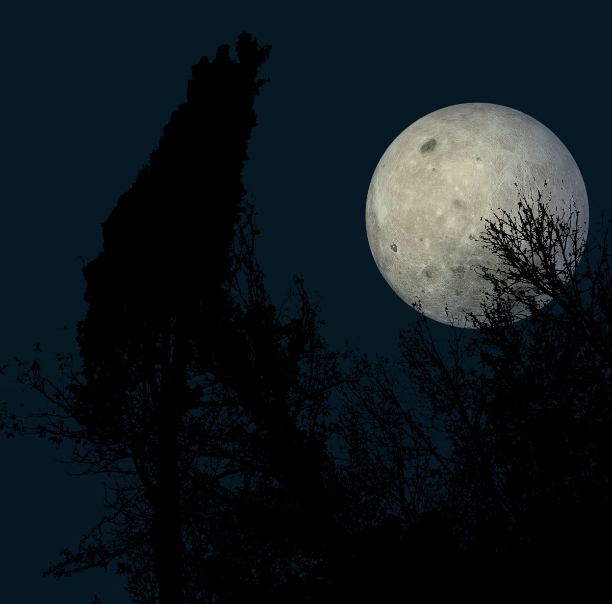 The Valyryn, part 1. A Nightshade and Moonlight Story | by Natalie ...