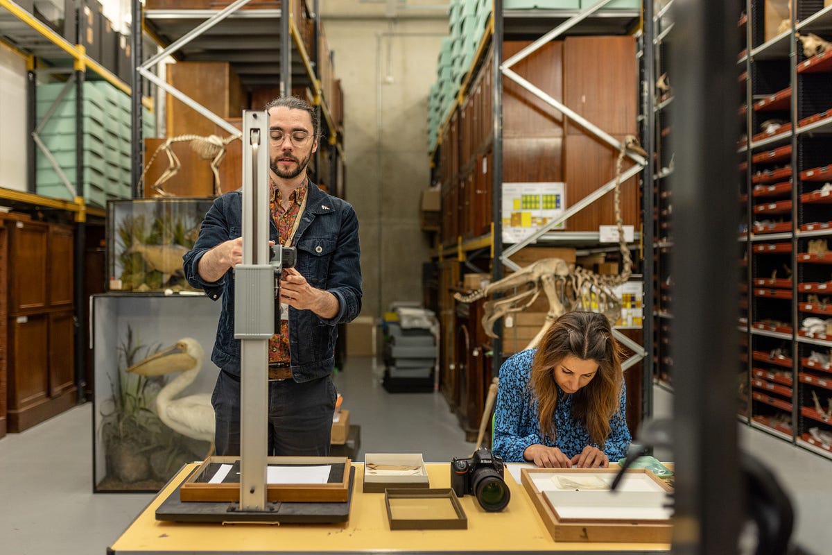 3 Academics, 3 Lead Curators, and A Day at Leeds Discovery Centre… | by ...
