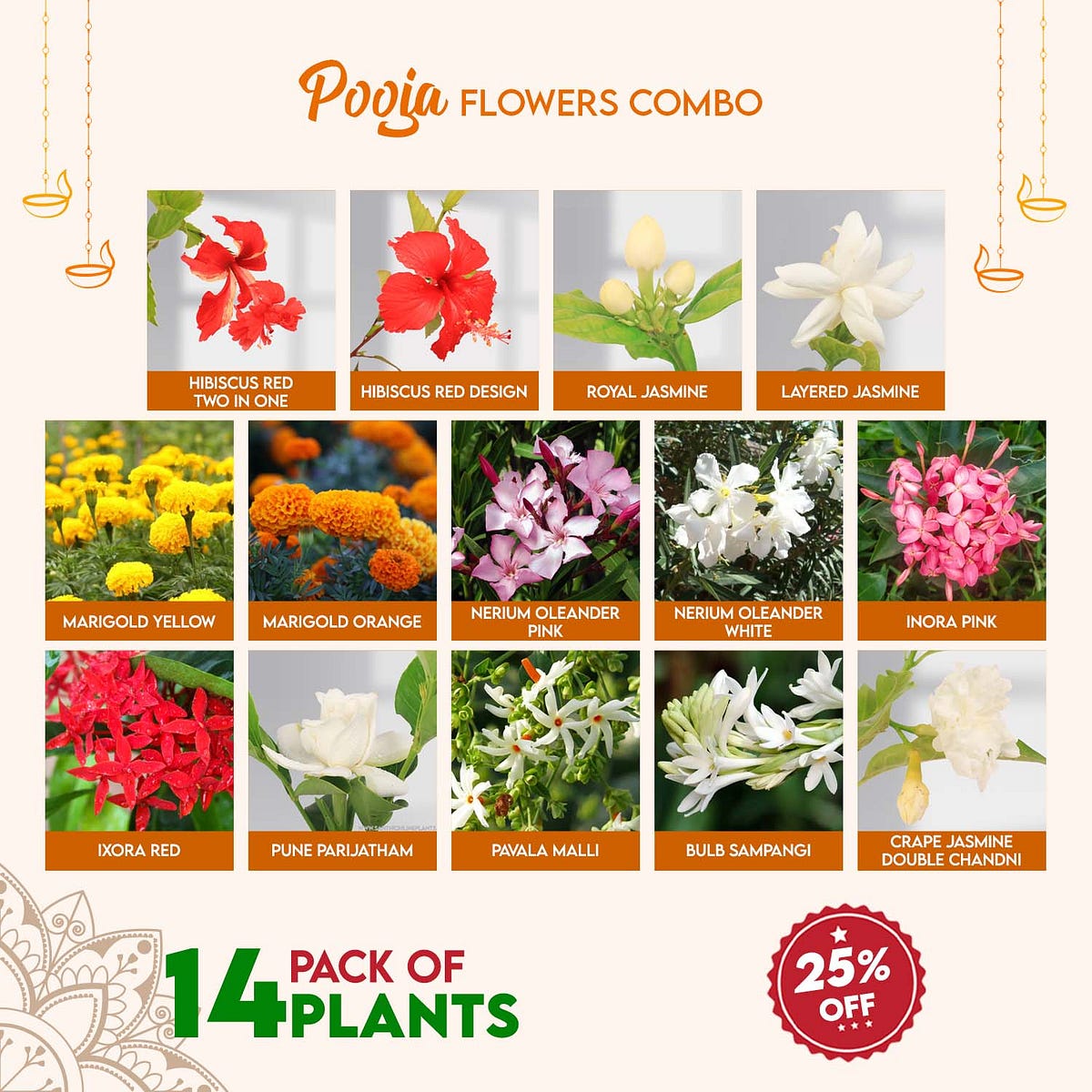 Pooja-Flowers-combo - santhi santhi - Medium
