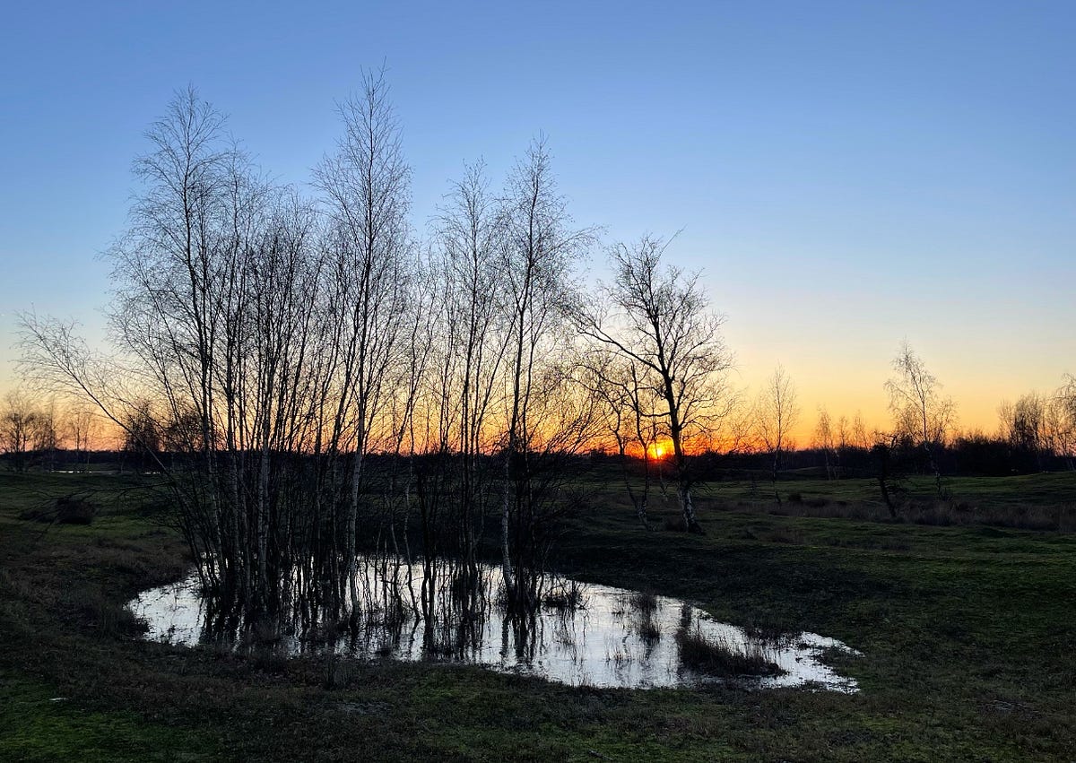 Capturing the Lesser-Known Golden Hour | by Alexander Verbeek | The New ...