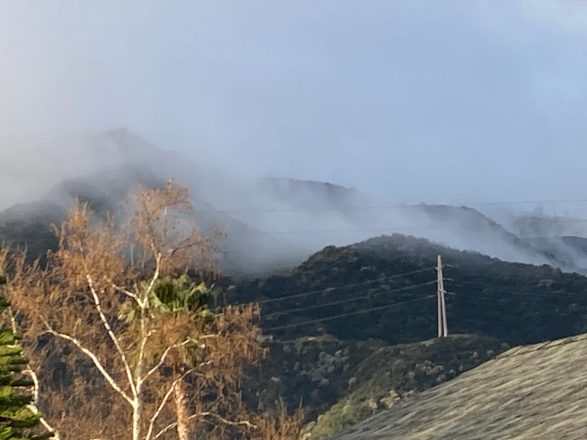 Out of the Mist. Saturday Poetry Prompt: Ragged | by Joe Luca | Curated ...