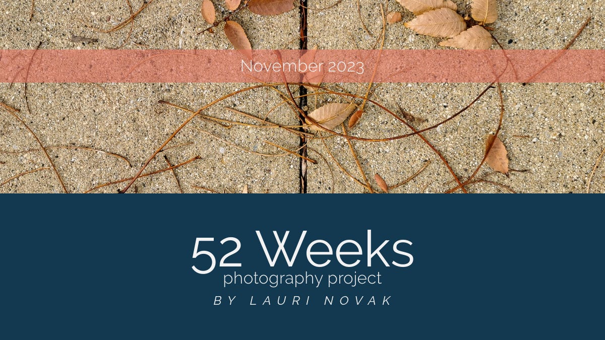 My First 52 Weeks Photography Project Story | by Lauri Novak | Full ...