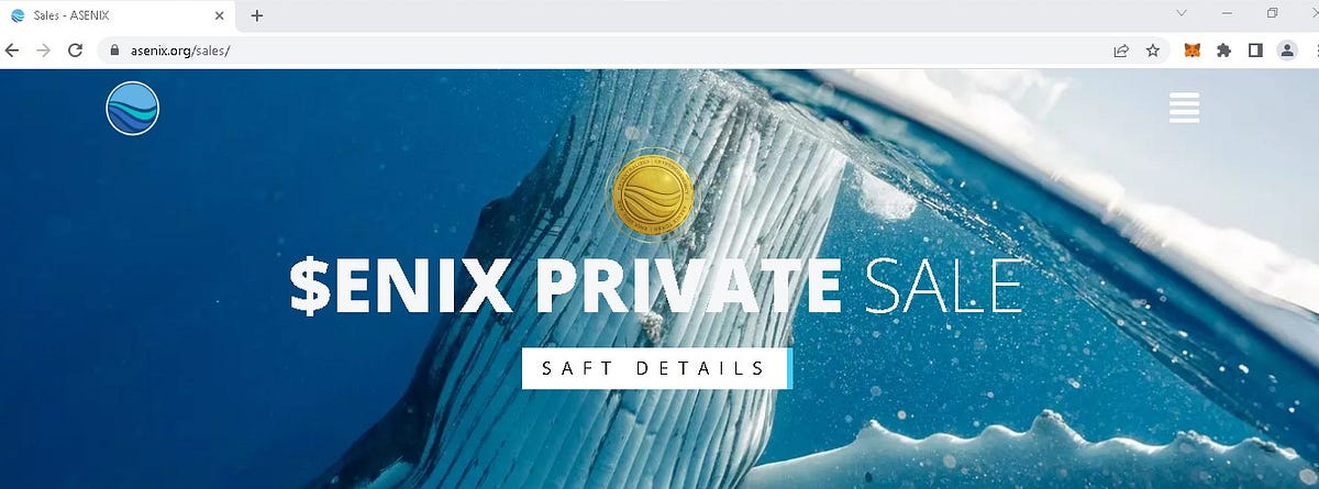 How to buy ASENIX ($ENIX) token private sale 2. Fill the registration ...