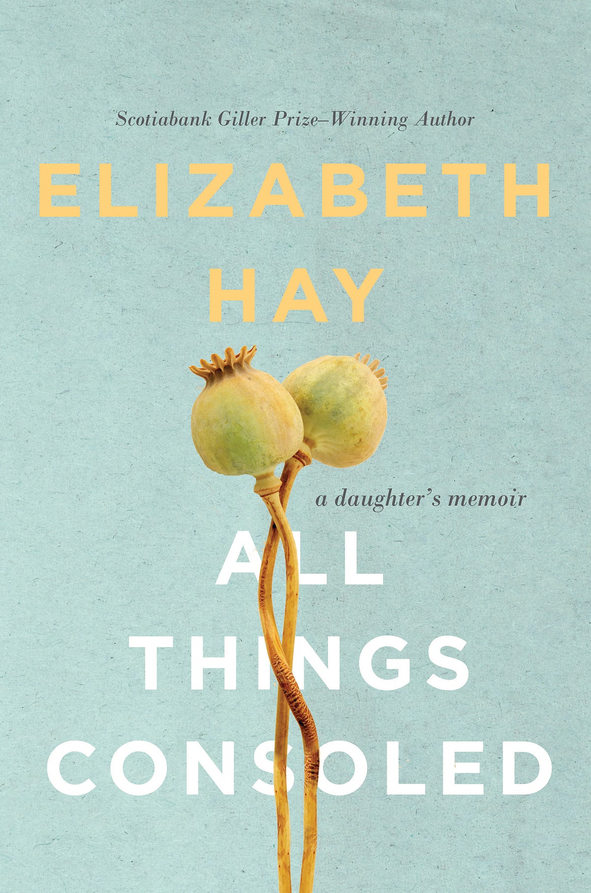 ELIZABETH HAY BRINGS FAMILY DRAMA TO LIFE | by KJ Mullins | Medium