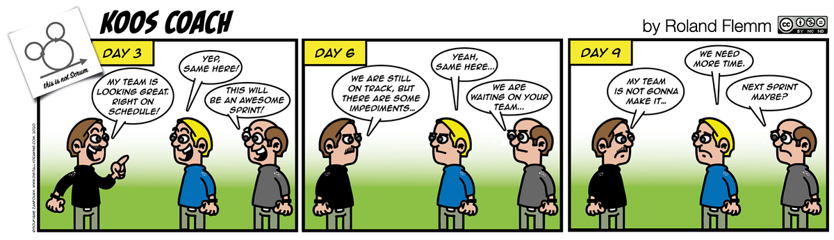 Koos Coach comic: Scrum of Scrums | by Roland Flemm | Serious Scrum ...