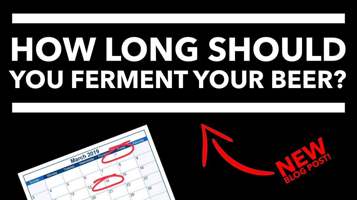 Simple Fermentation Schedule for HIGH QUALITY BEER! | by Cheeky Peak ...