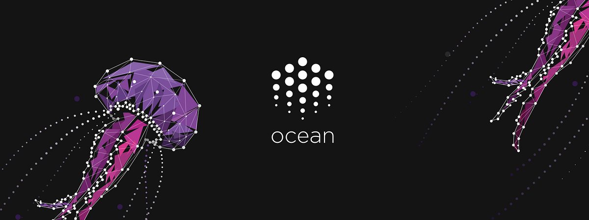 Ocean Protocol — Trusting the Team in a Trustless World | by suren | Medium