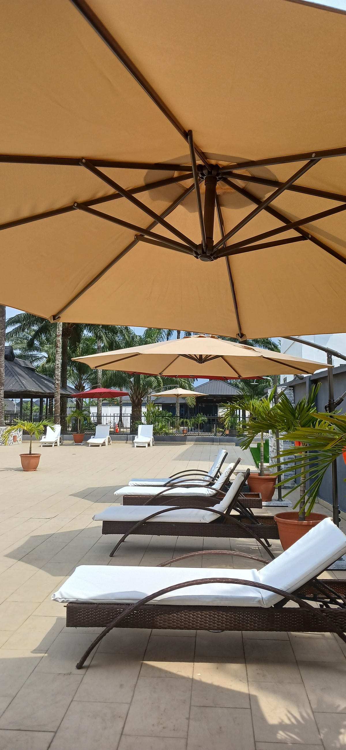The Palms Hotel and Resort, Omoku : Where Comfort Beckons | by Dorathy ...