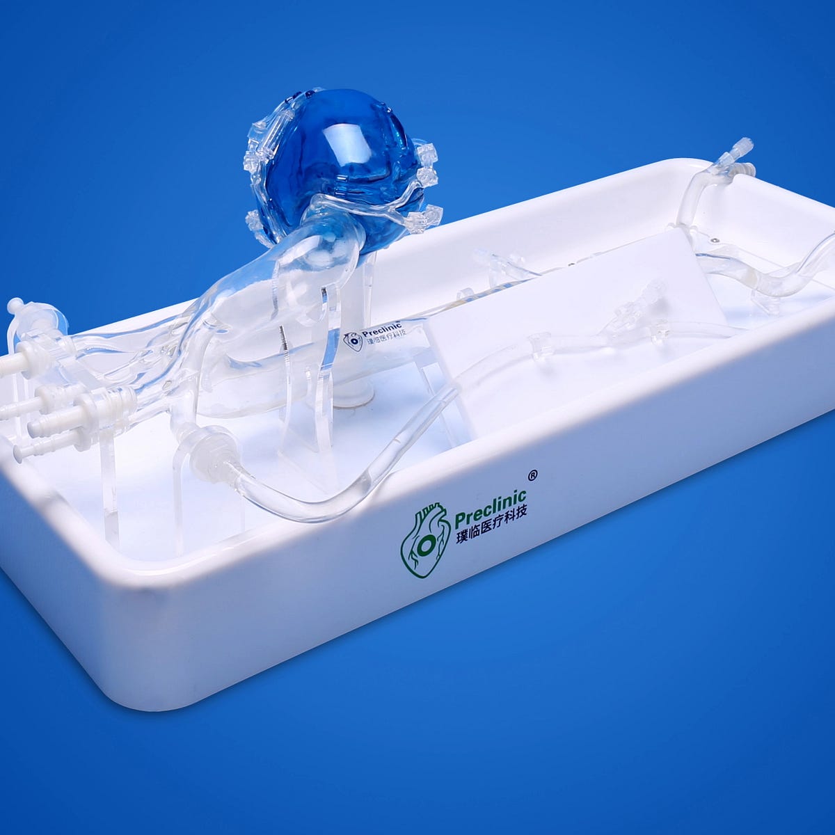 Coronary Artery Simulation Model. The 3d coronary artery model is ...