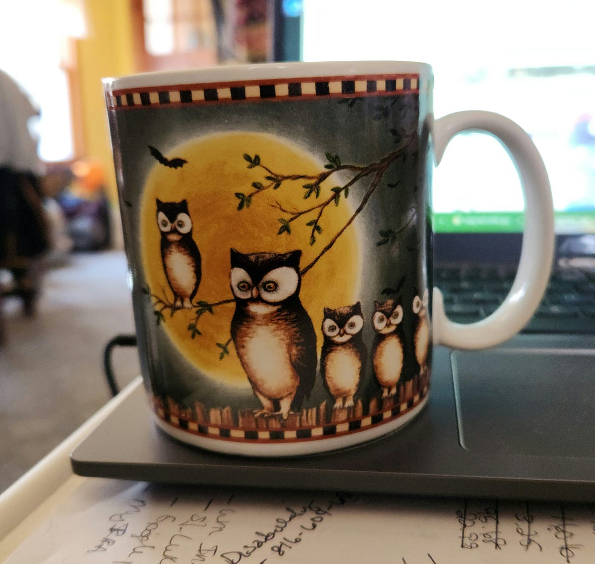 Owls reign today!. My Saturday choices are revealing. | by Michelle ...