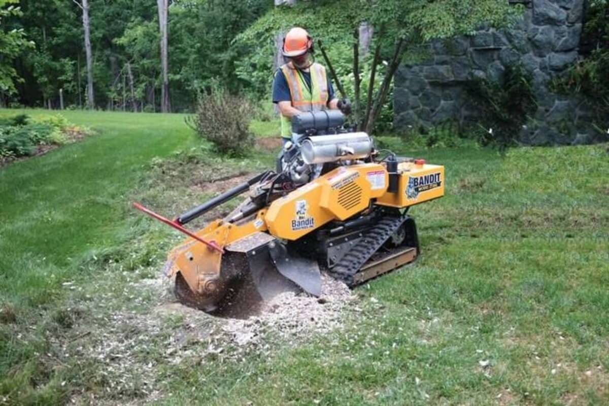 Who Provides Eco-Friendly Stump Grinding Solutions? | by ...