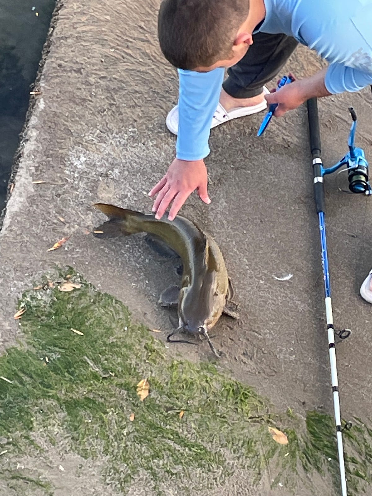 PLEASE SUBSCRIBE - Fish God - Medium