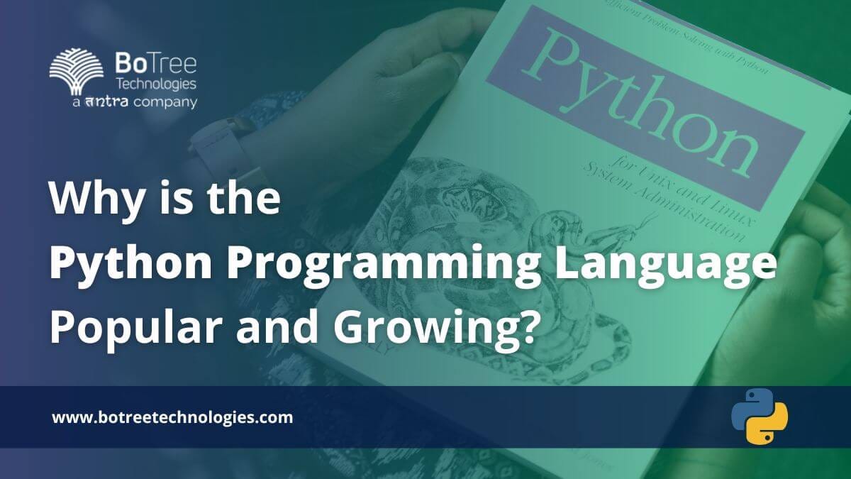 Why is the Python Programming Language Popular and Growing? | Medium