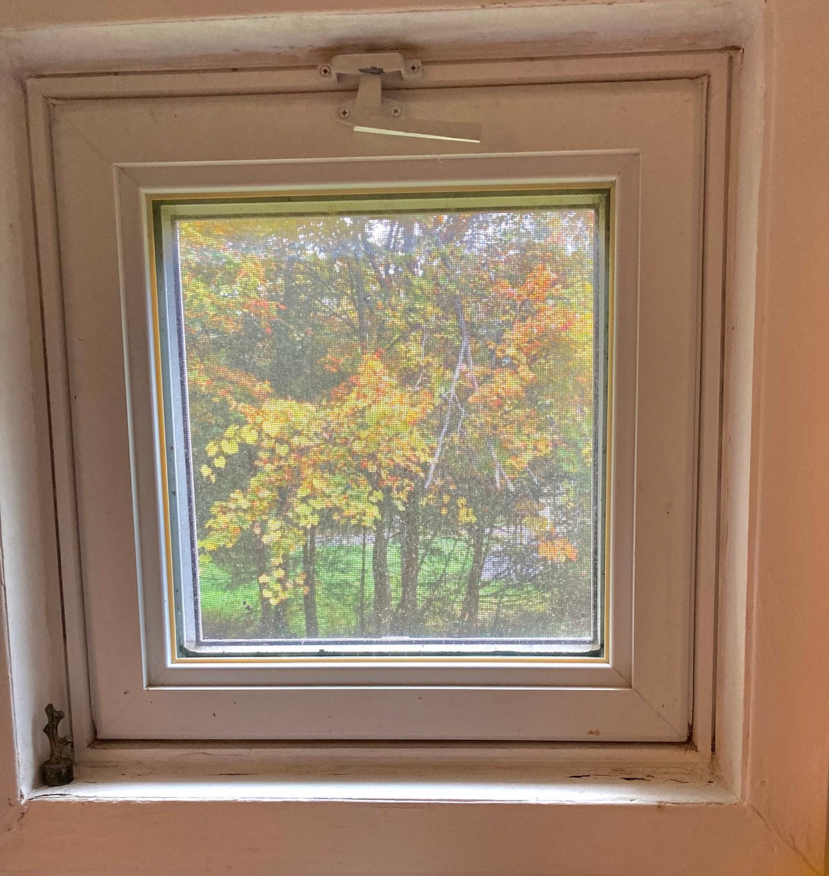 Brandy Alexander. I guess her parents thought they were being clever ...