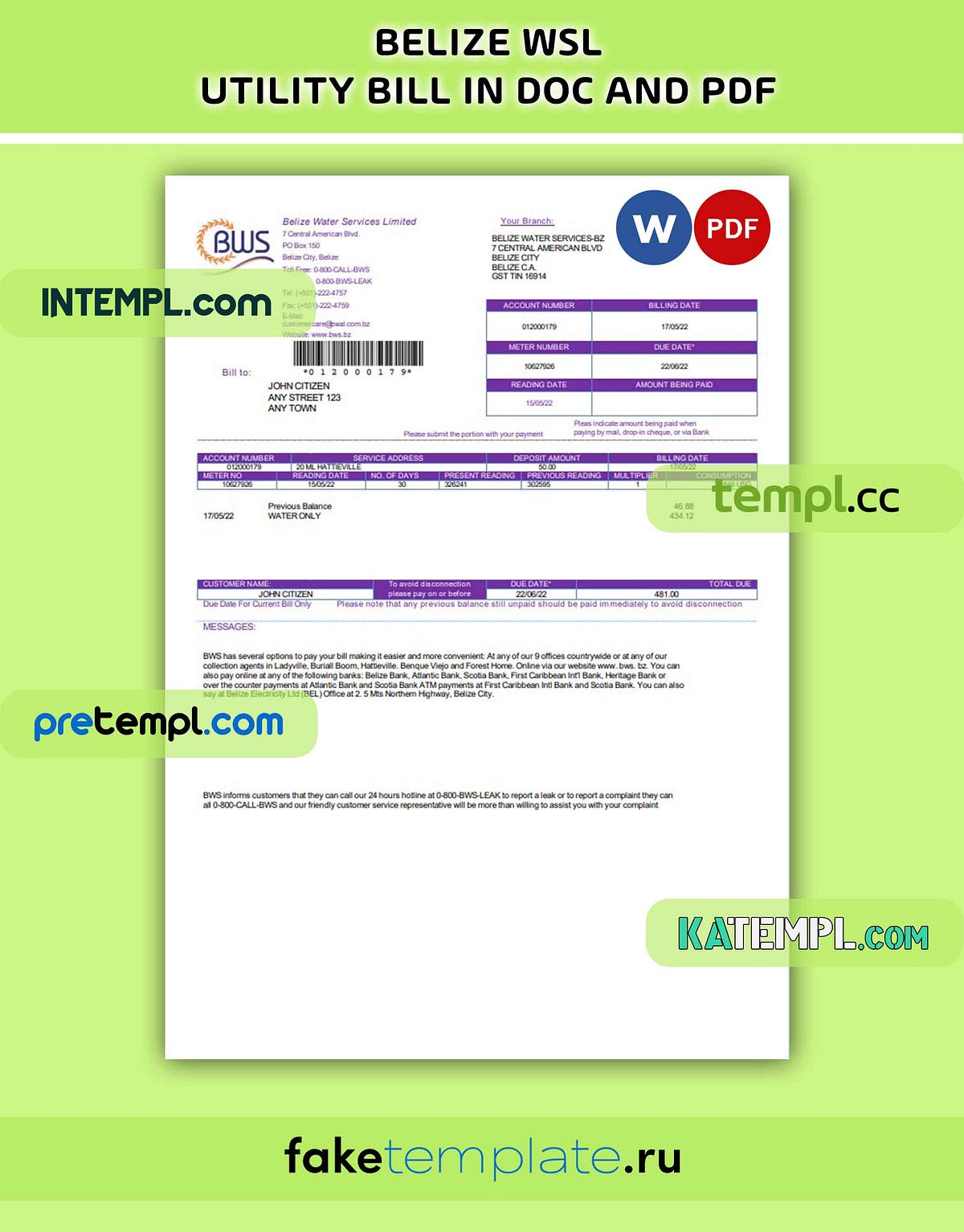 Belizean Water Services Limited utility bill download example in Word ...
