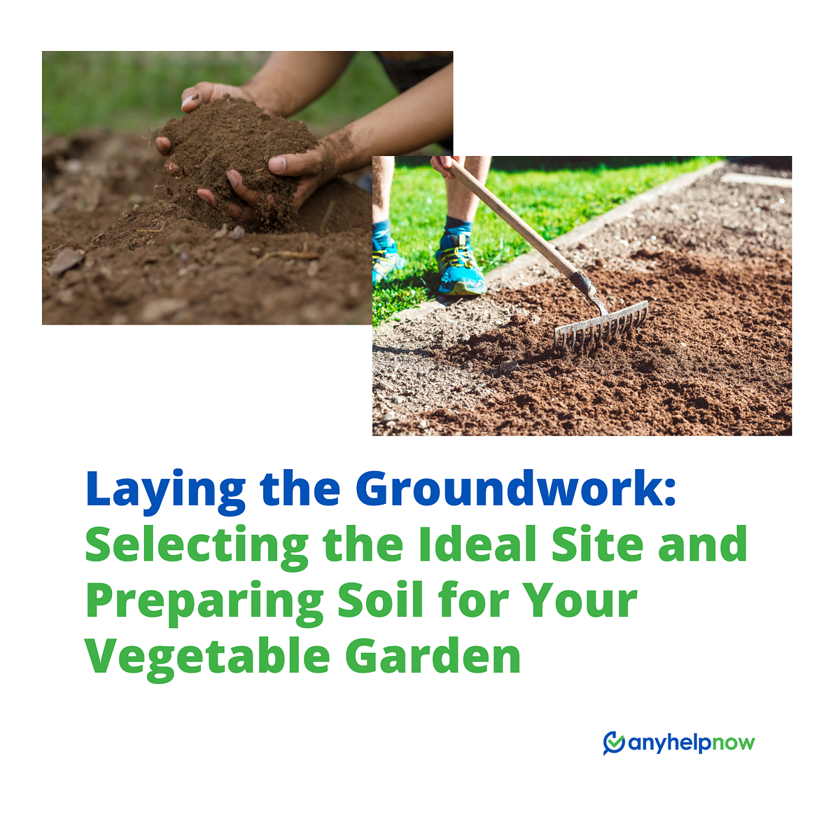 Laying the Groundwork: Selecting the Ideal Site and Preparing Soil for ...