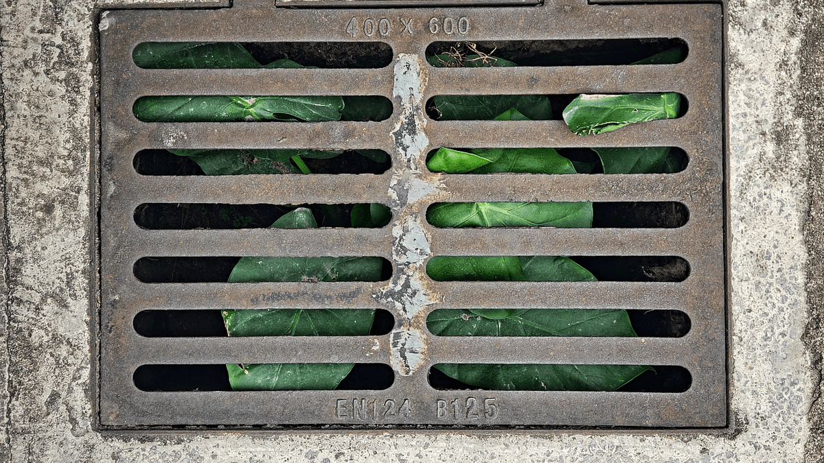 Nature’s Harmony: How Drainage Design Can Enhance Landscape Aesthetics ...