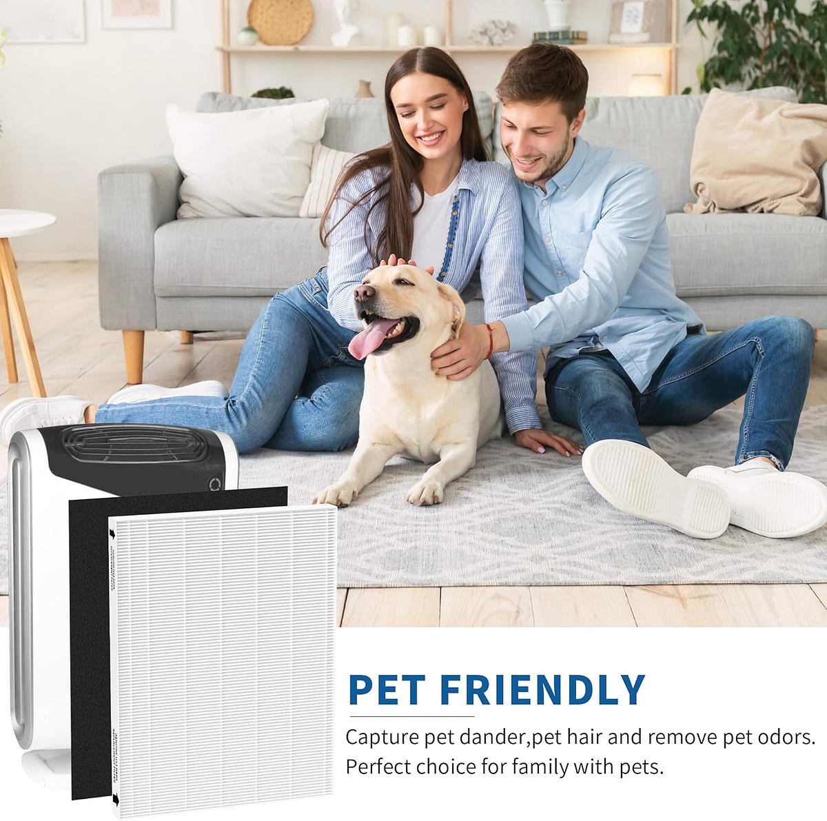 Revitalize Your Air Quality: AeraMax 300 HEPA Filter Packs for Better ...