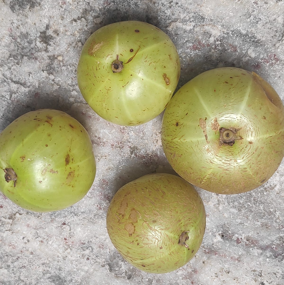 TRIPHALA — Powerful yet Humble Churna | by Rakhi N.S | ILLUMINATION’S ...