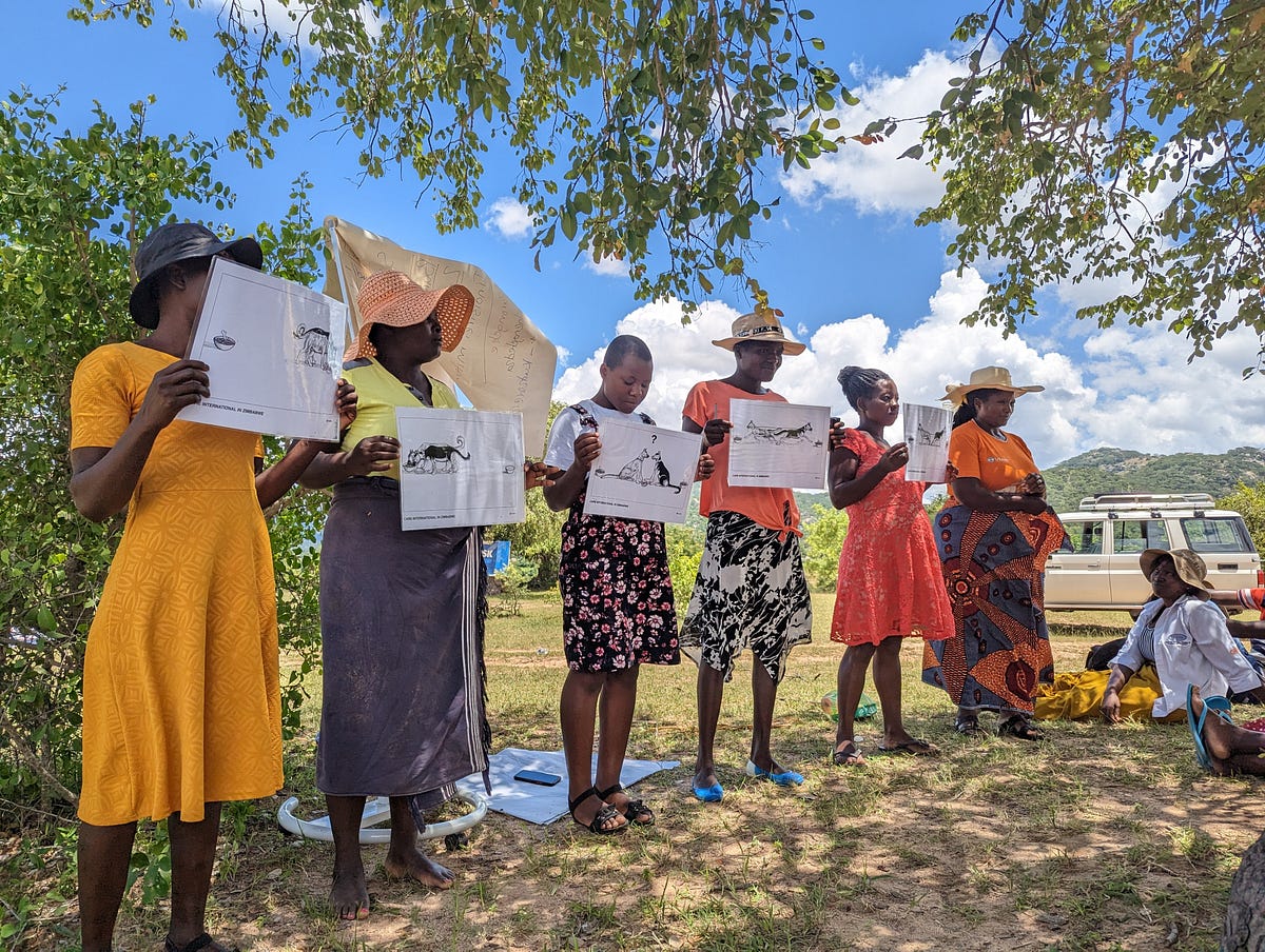 USAID Takunda Supported Village Savings and Loan Associations (VSLAs ...