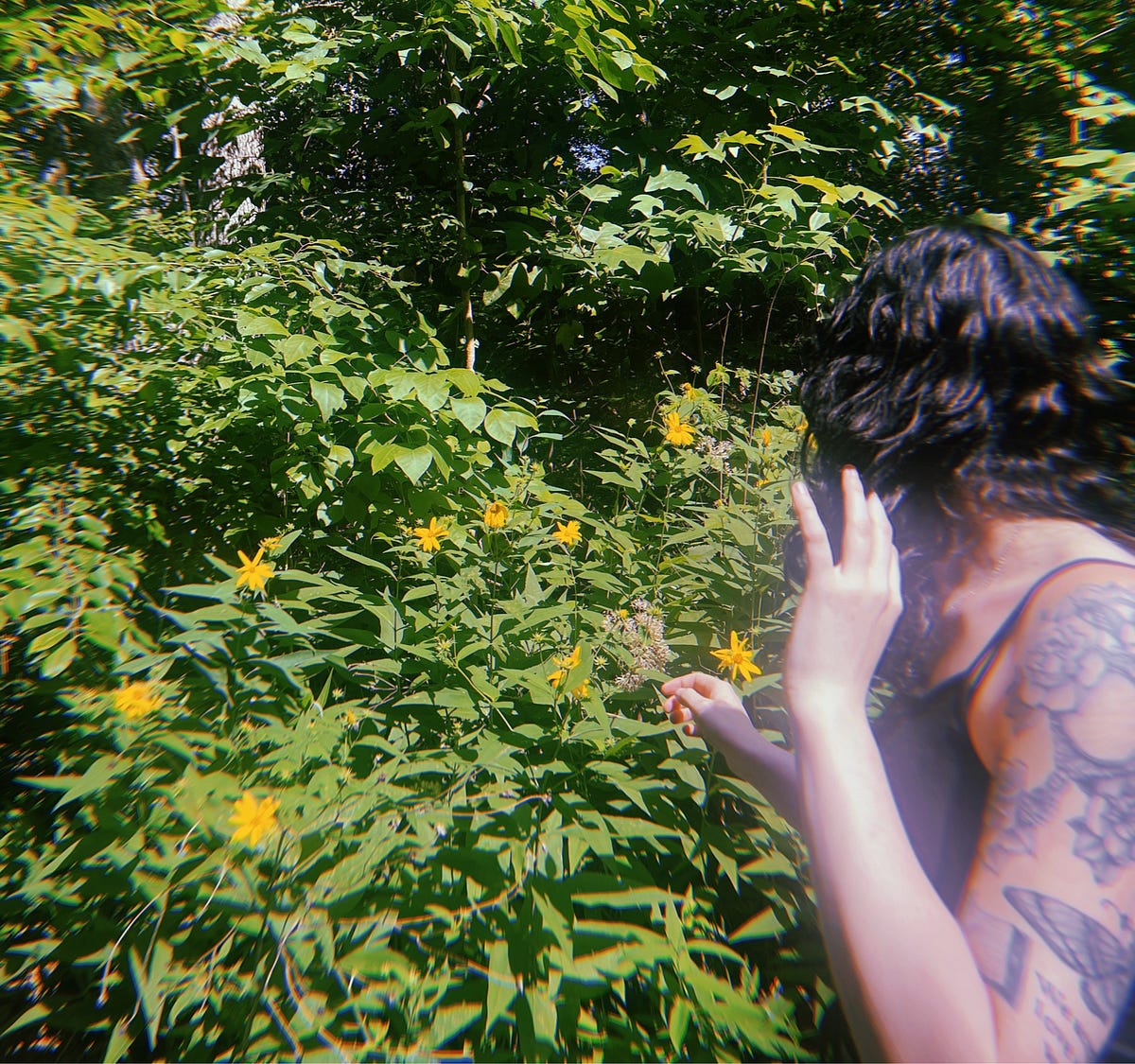 Embracing the Dawn. Whispers of hope’s return. | by Kelsey Hirsch | Picture Poetry | Jul, 2025 ...