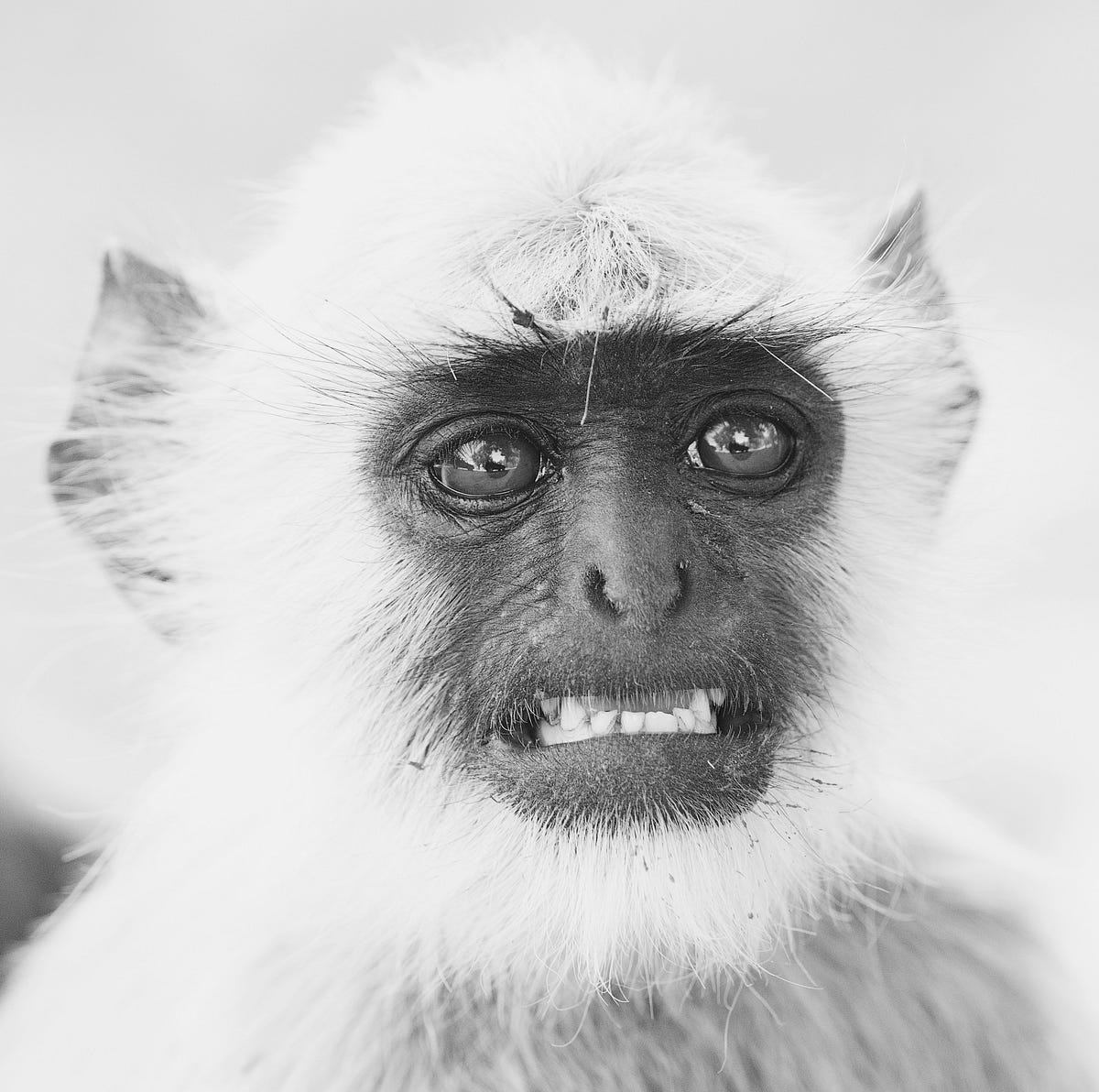 Being Creative Can Feel Cringe. Written by Finn Fable | by Finn Fable ...
