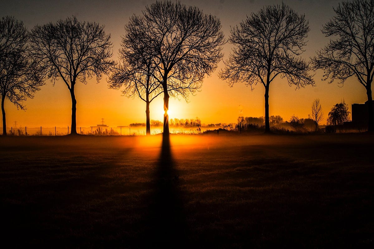 Beautiful Oblivion. For a moment everything went black… | by Kayla ...