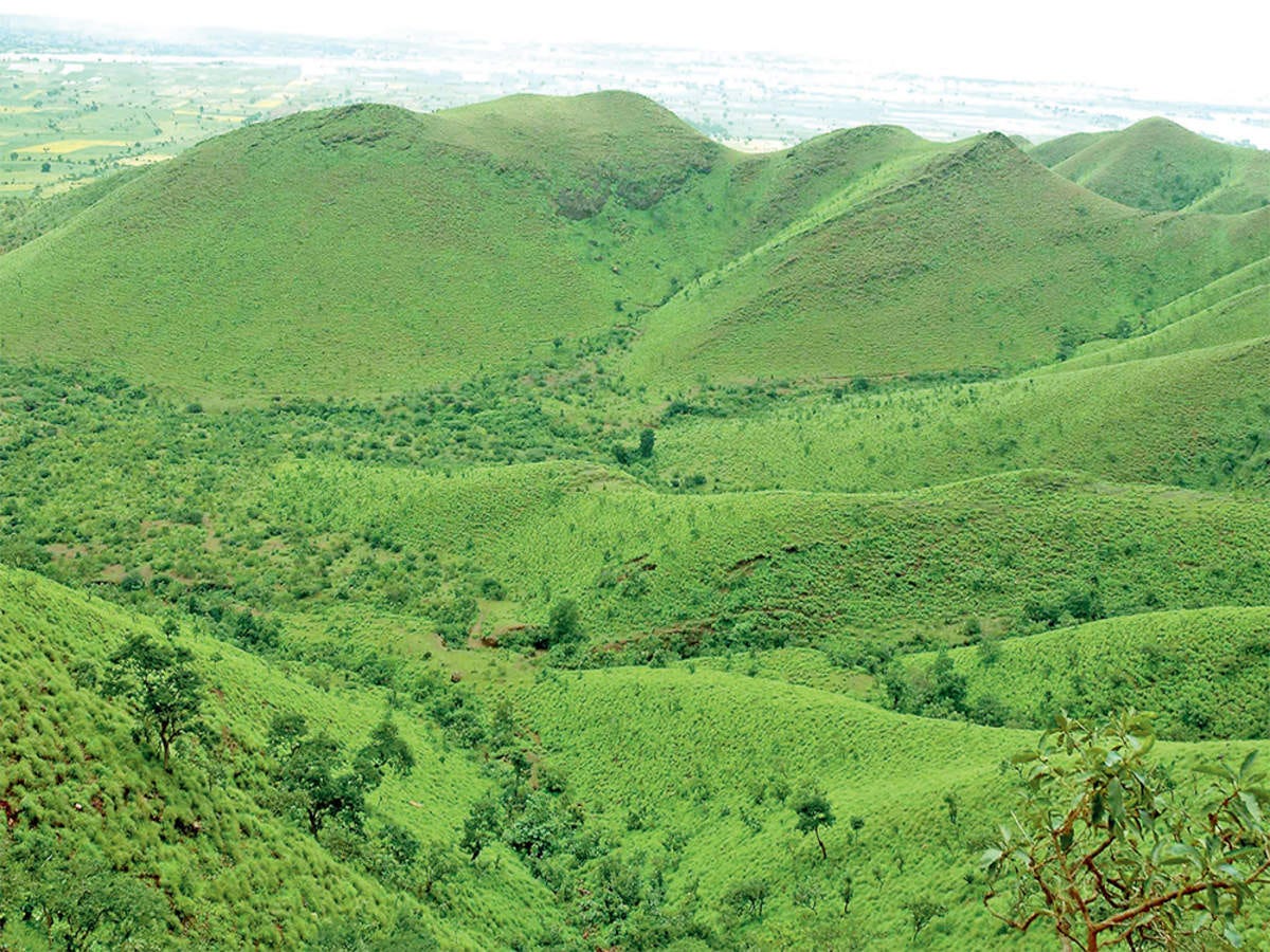 KAPPATAGUDDA: Home to rare flora and fauna. Has rich gold reserves - 7 ...