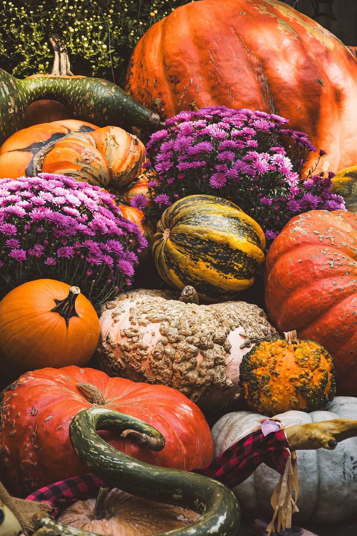 A Guide To Healthy Eating In Autumn: 5 Best Ways To Eat Healthily In Fall | by Frankie | Medium