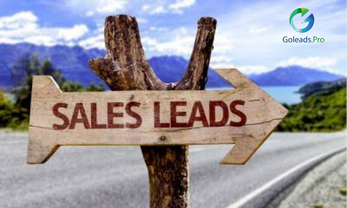 A Guide to Sales Leads for Small to Medium-Scale Businesses | by ...